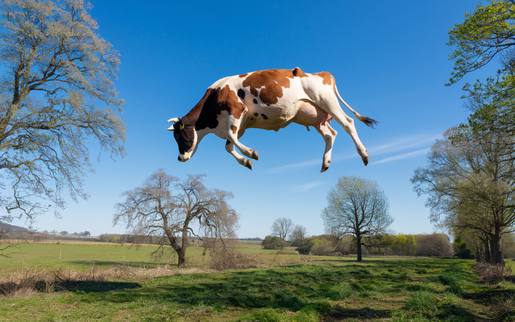 Ideogram: Next level Image Generation