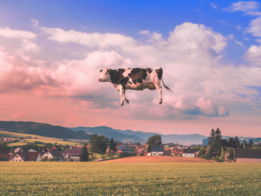 Ideogram: Next level Image Generation